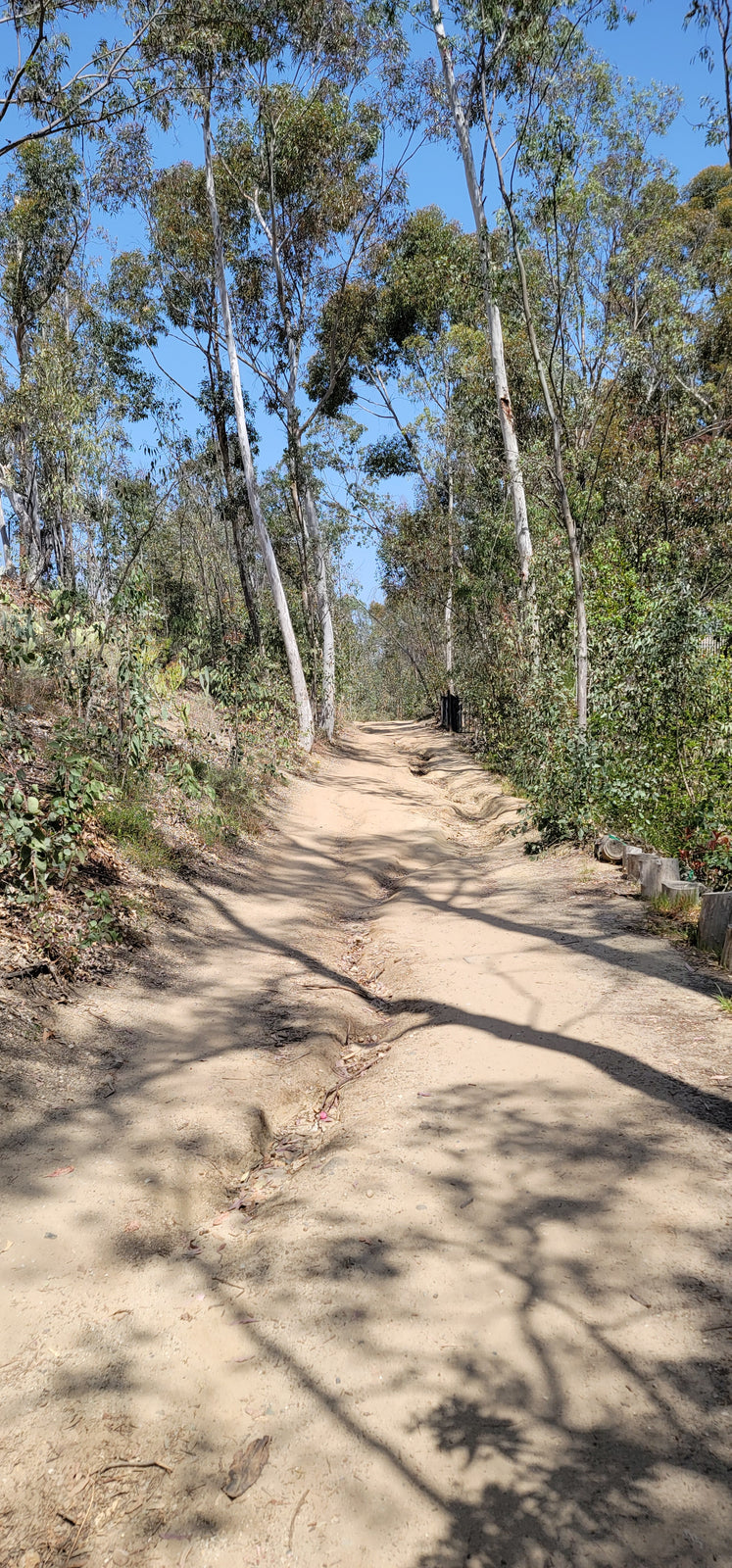 Fullerton Loop – The Path Bike Shop