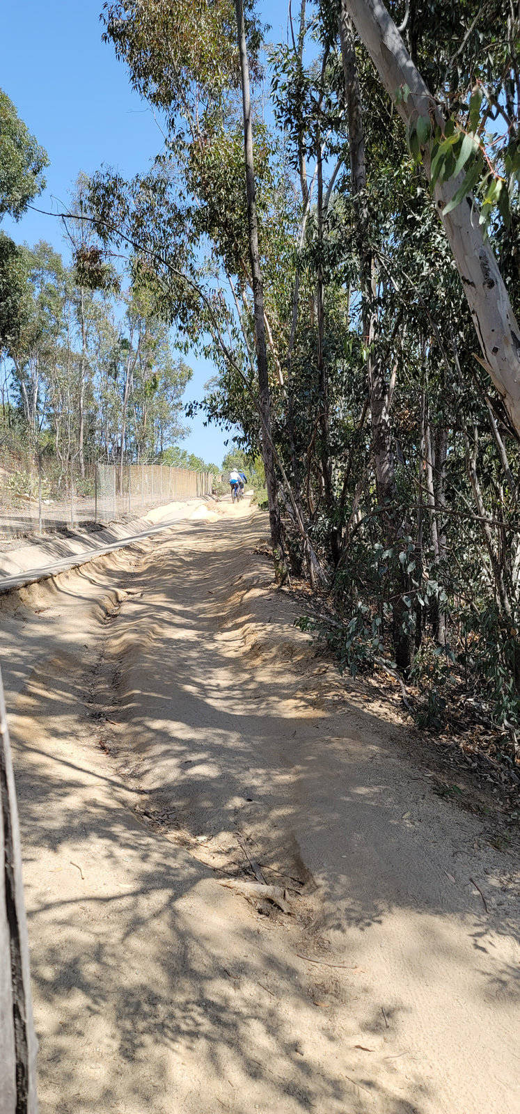 Fullerton Loop – The Path Bike Shop