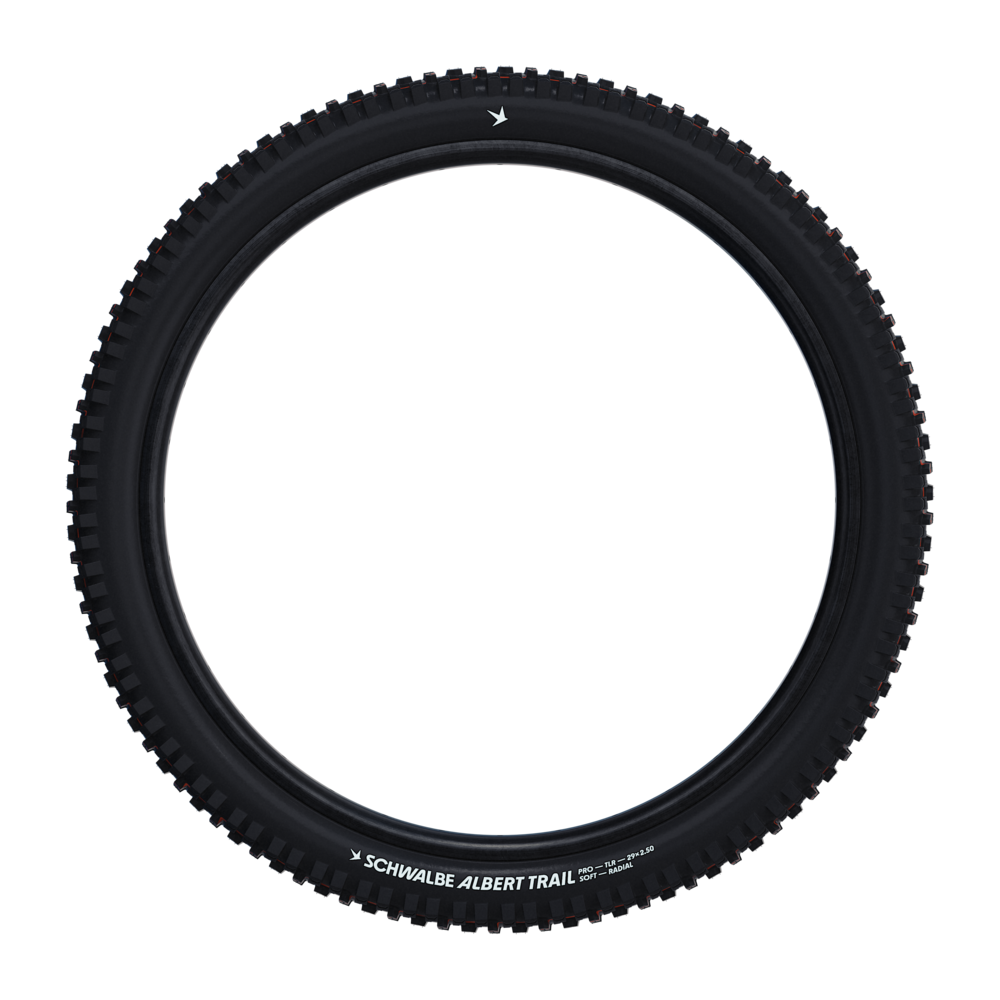 Schwalbe Radial Mountain Bike Tires – The Path Bike Shop